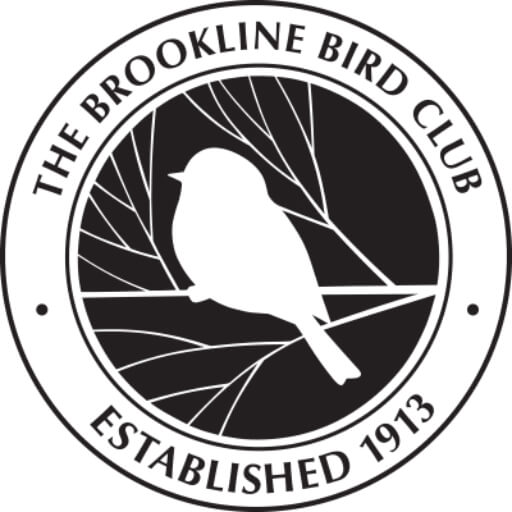 Brookline Bird Club – America's Most Active Bird Club