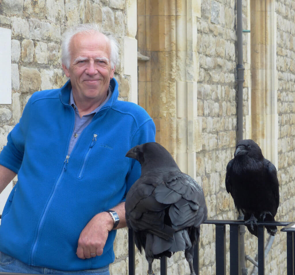 Flight Calls: Exploring Massachusetts through Birds – Brookline Bird Club