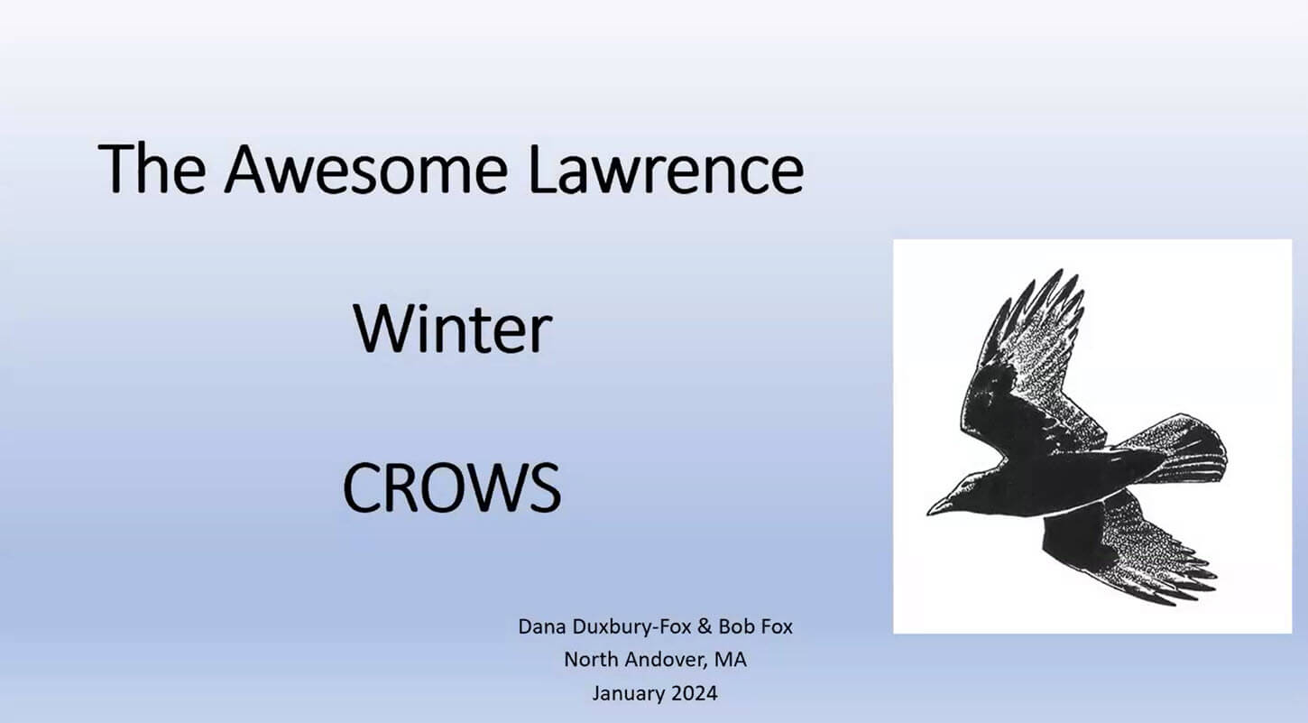 Speakers & Webinars – Brookline Bird Club