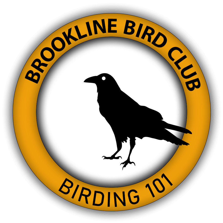 Info for Participants – Brookline Bird Club