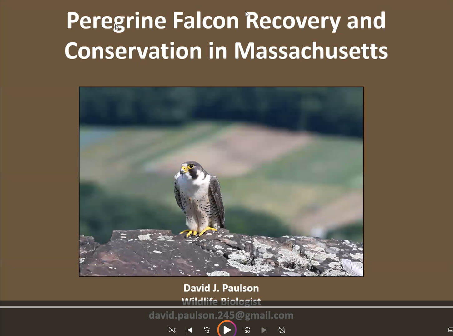 Speakers & Webinars – Brookline Bird Club