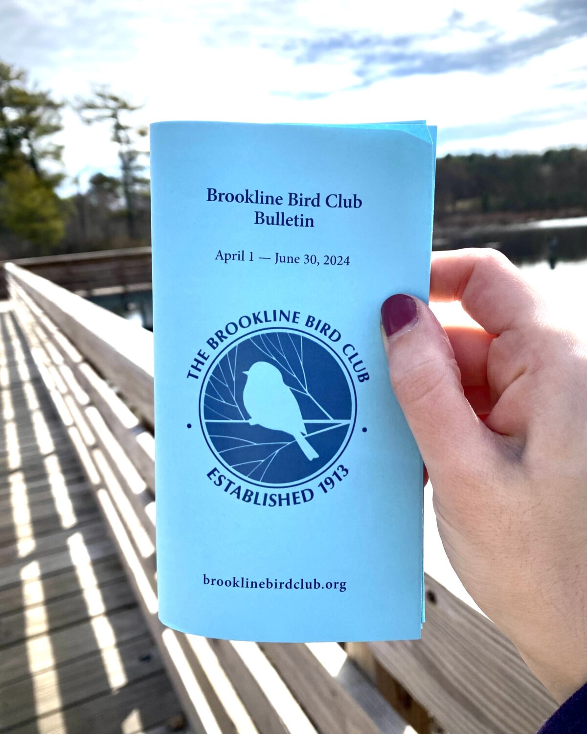BBC Spring 2024 Bulletin – Brookline Bird Club