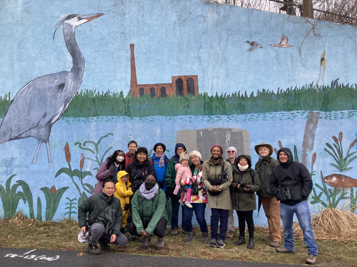 Migration Madness Membership Drive – Brookline Bird Club